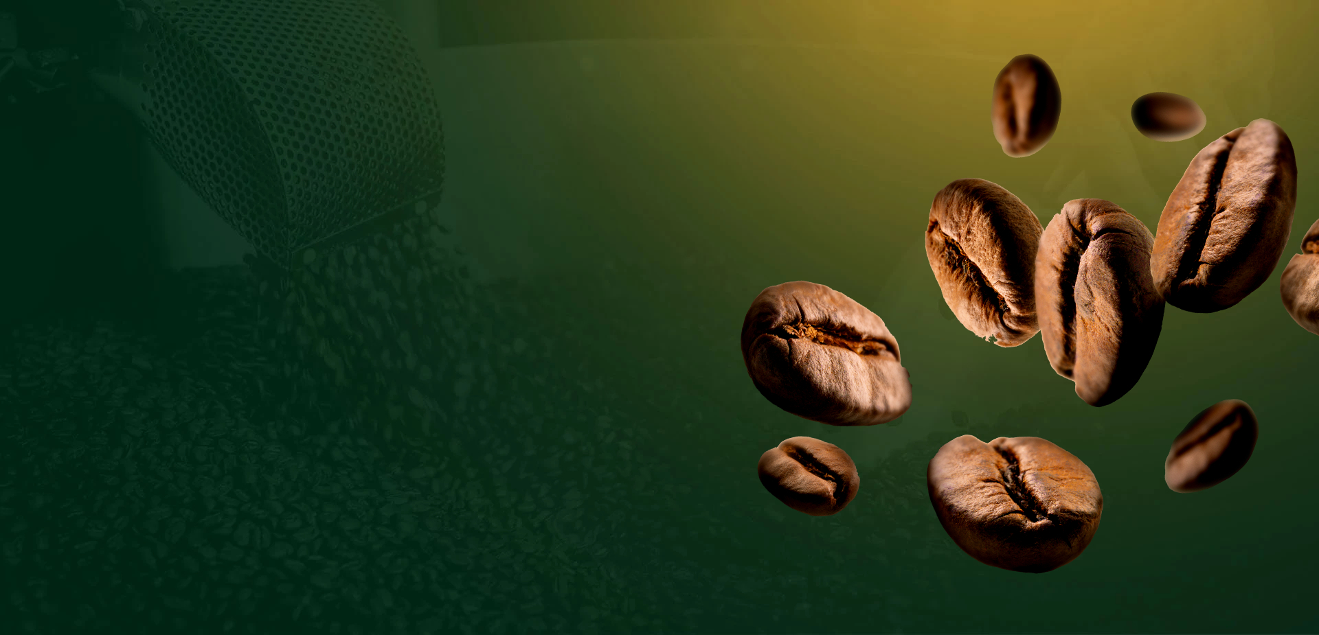 Samar, plus de 40 ans d'histoire et d'expertise | Samar